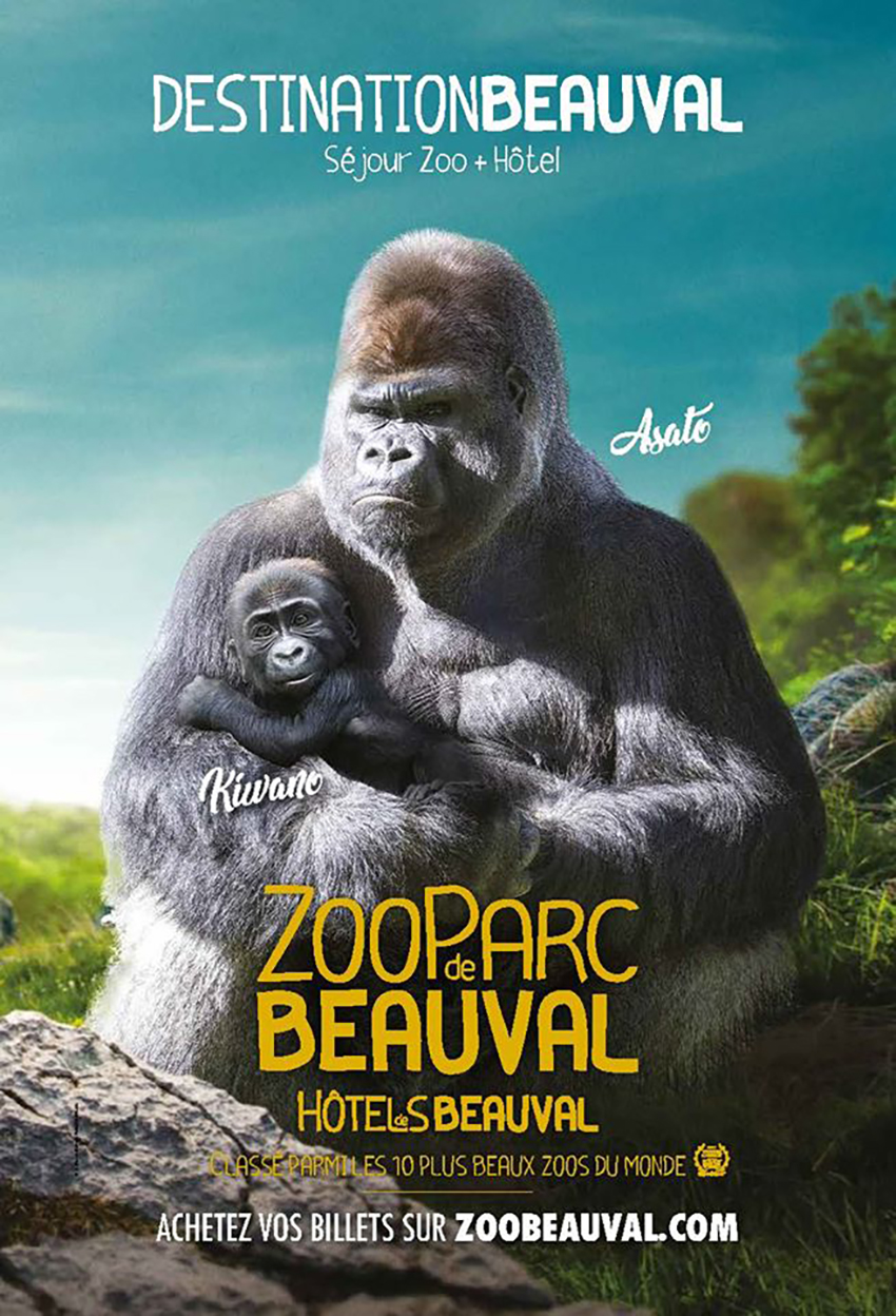 Nouvelle - Réouverture du ZooParc de Beauval dès demain